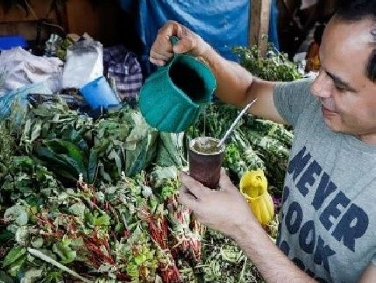 El tereré y el pohã ñana ya son oficialmente Patrimonio Cultural ...